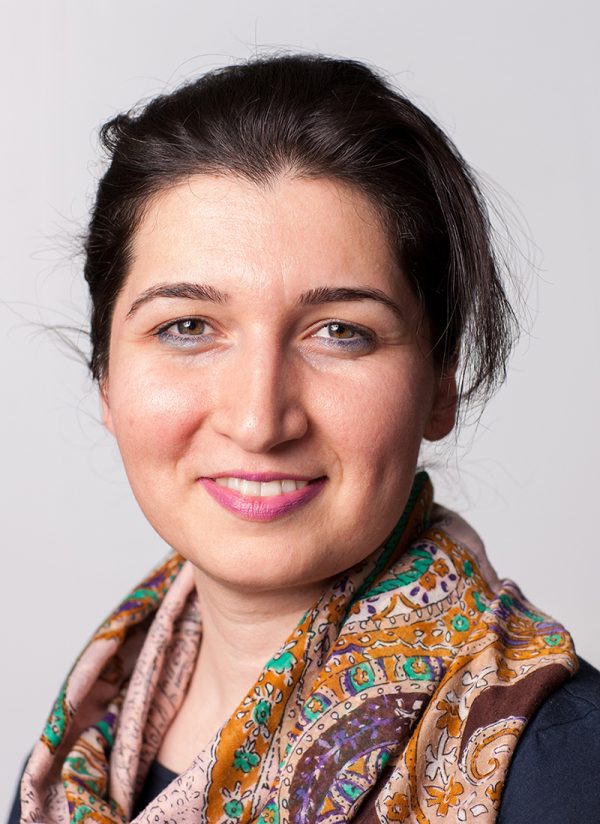 Discovering the unexpected connections between Persian and Hebrew - UW ...