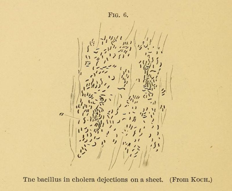 Learning from the history of Ottoman Jews & 19th-century cholera ...