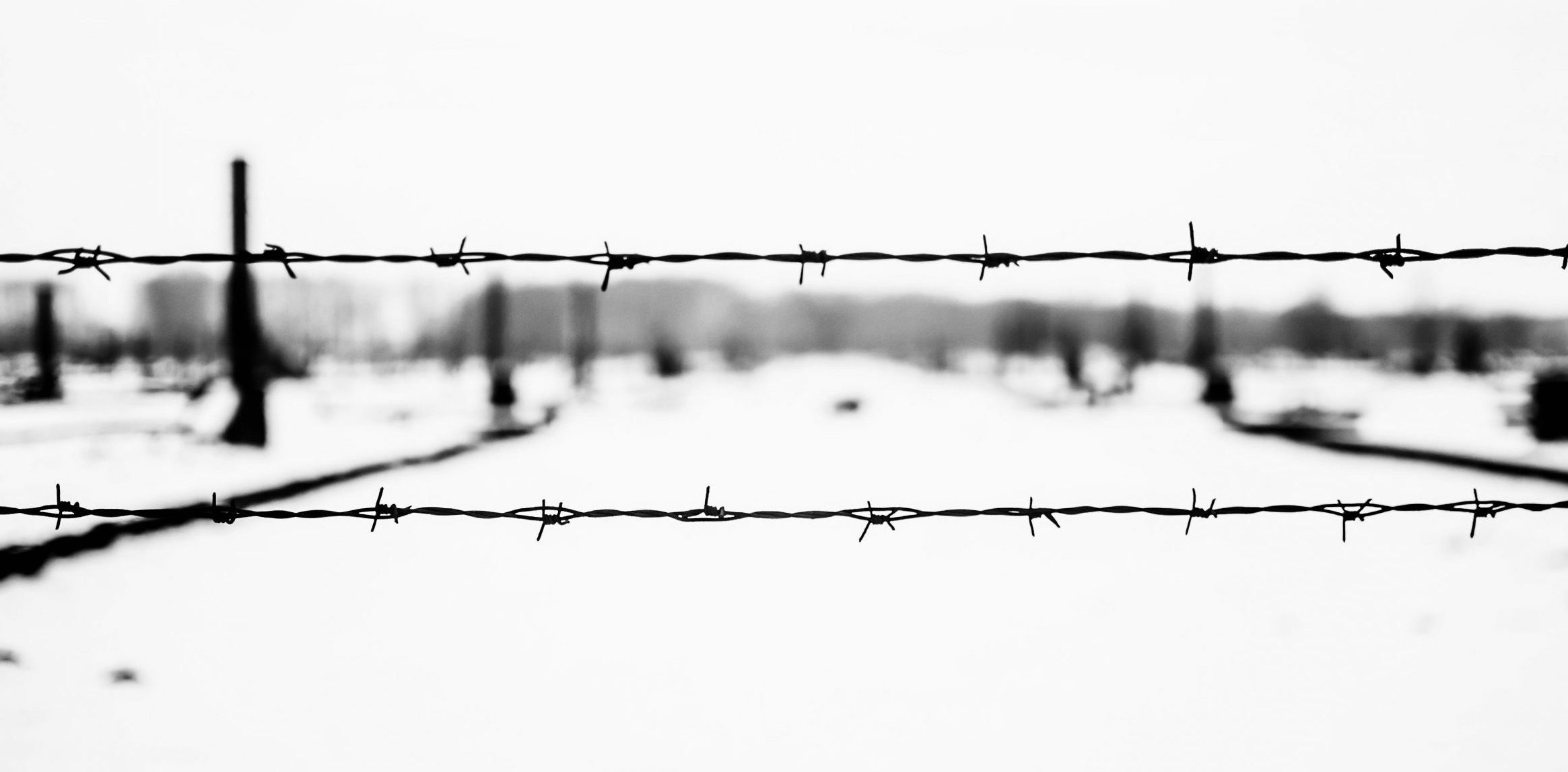 Lecture Series: Lessons (Not) Learned from the Holocaust - UW Stroum ...