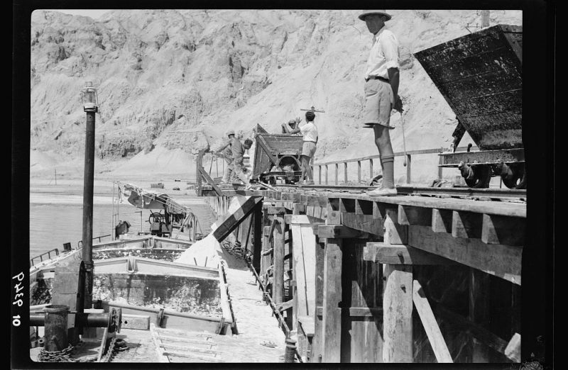 American Jews & Israel: The history of the Palestine Economic ...