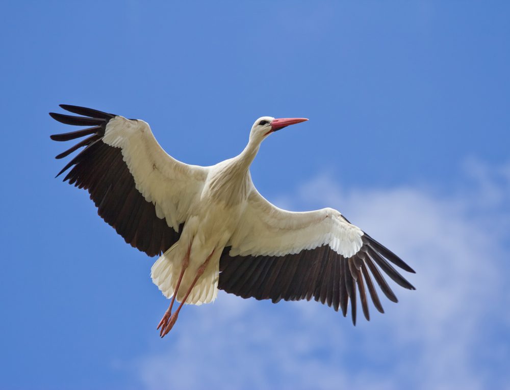 Is Israel a settler colonial state? - UW Stroum Center for Jewish Studies